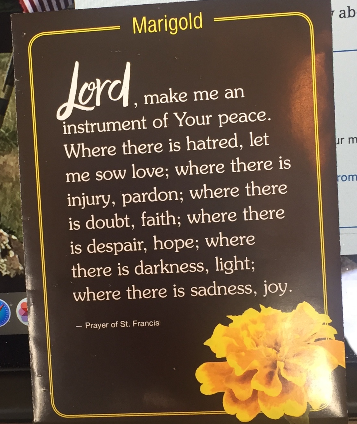 seed-packet-prayer | JanBeek