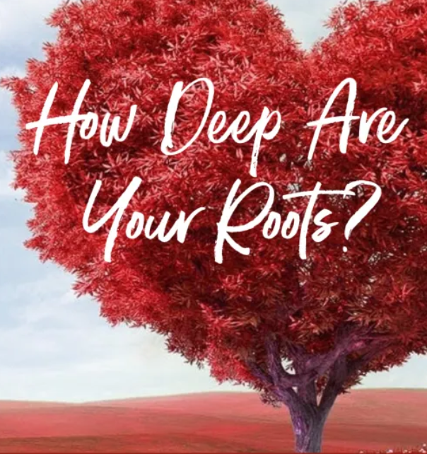 deep-roots | JanBeek