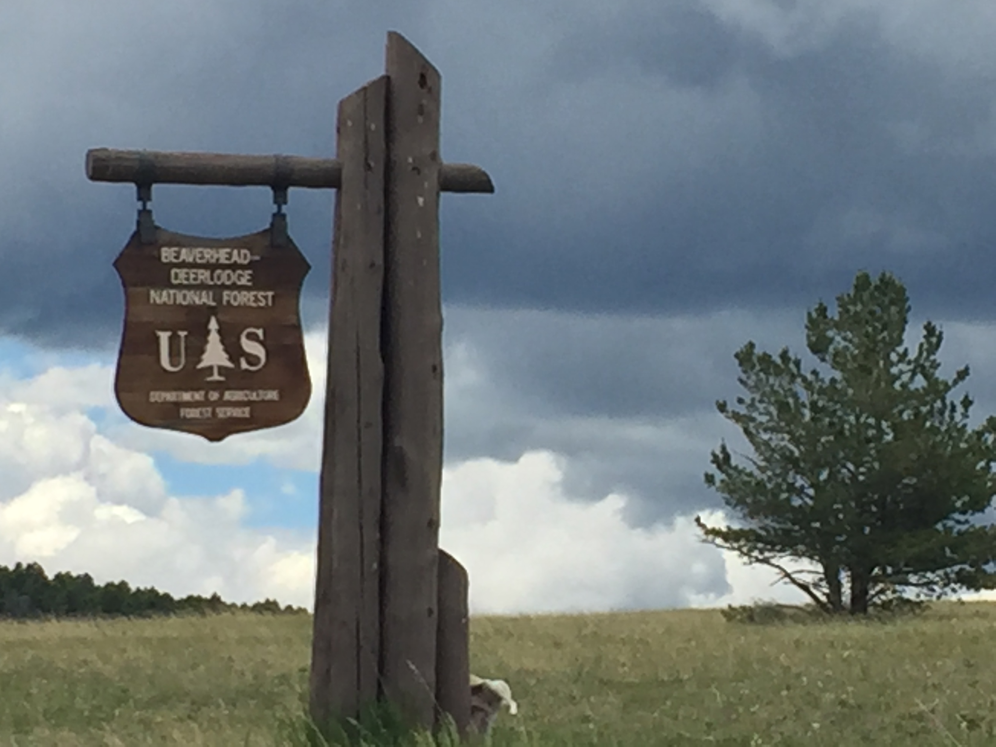us-forest-service-sign | JanBeek