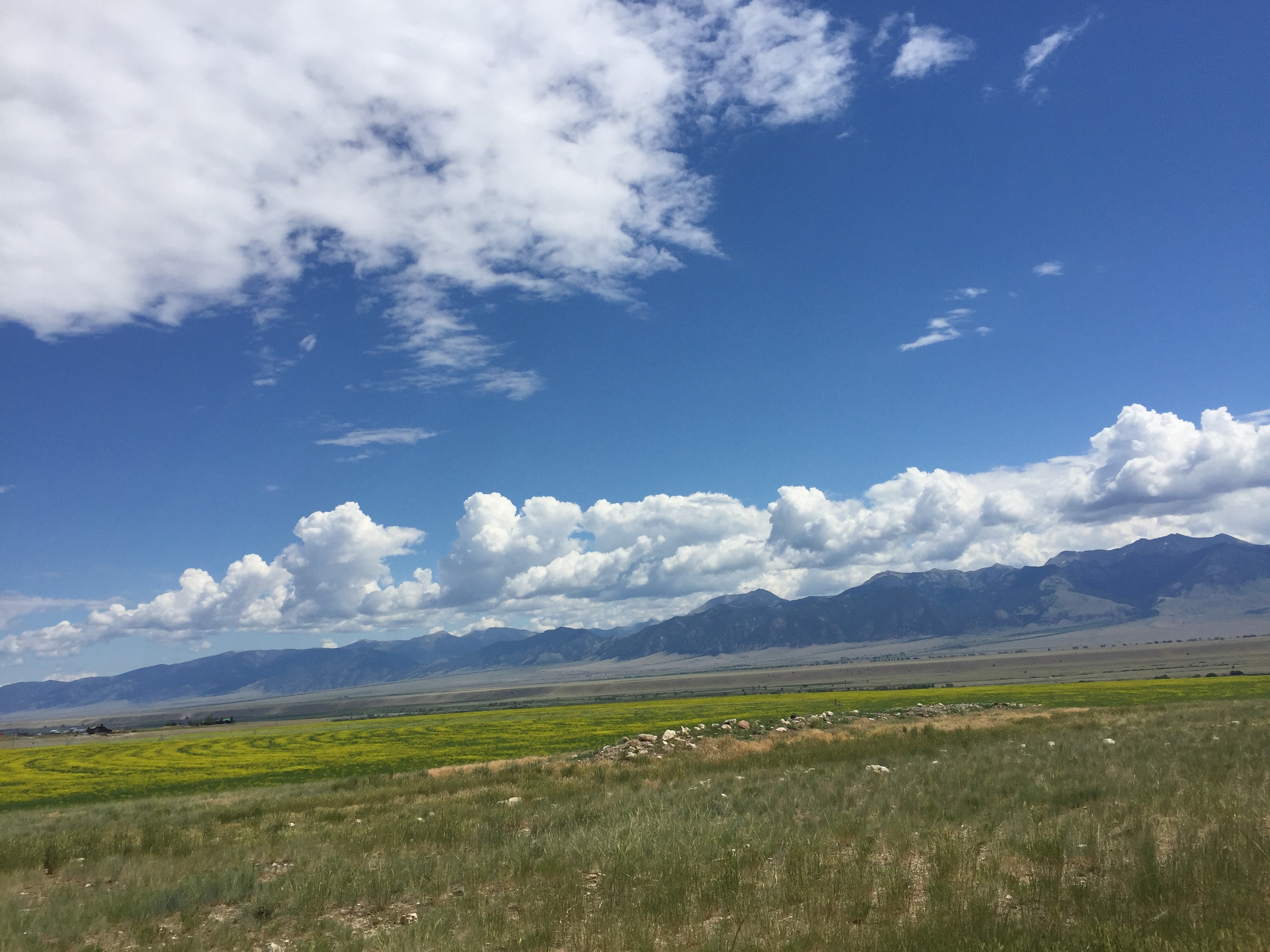 yellow-field-madison-range | JanBeek
